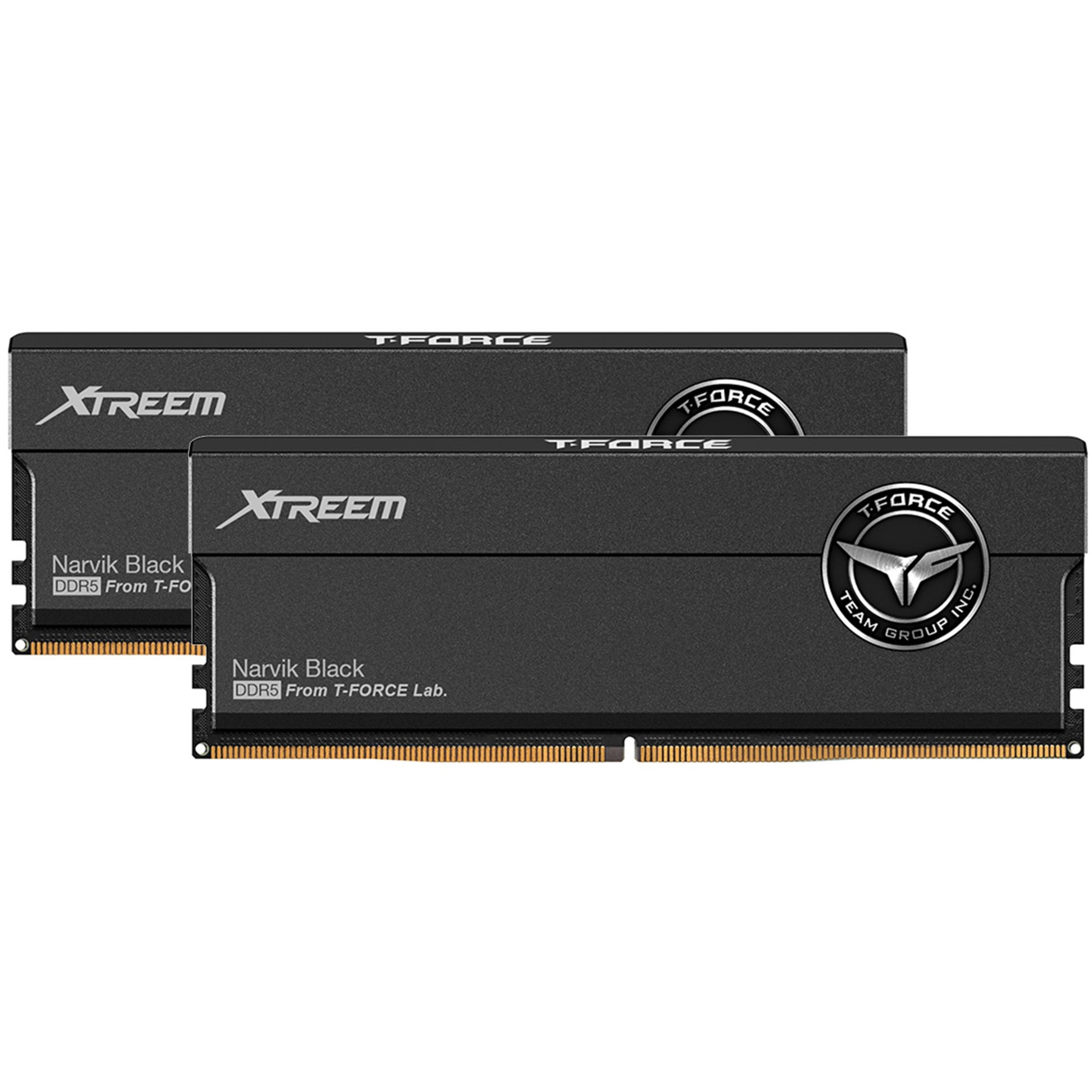 Team Group DDR5 - 32GB - 7600 - CL - 36 (2x 16 GB) dual kit, RAM ...